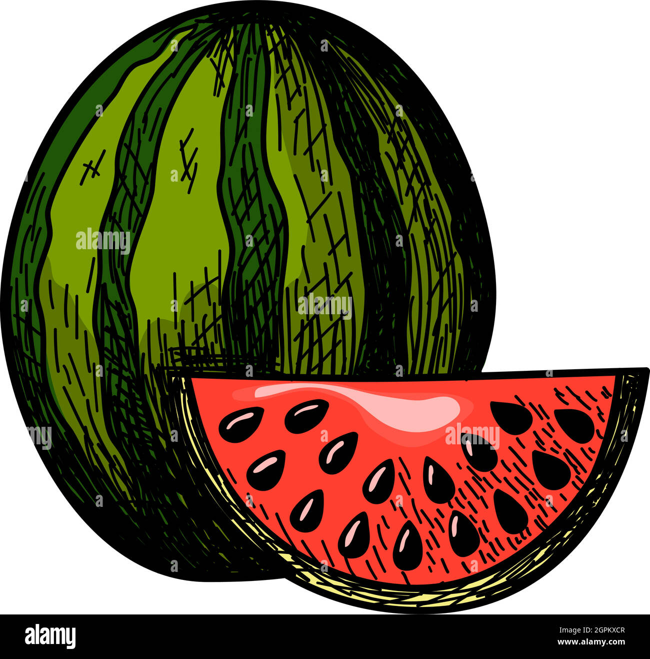 Melon vitamin icon outline hi-res stock photography and images - Alamy