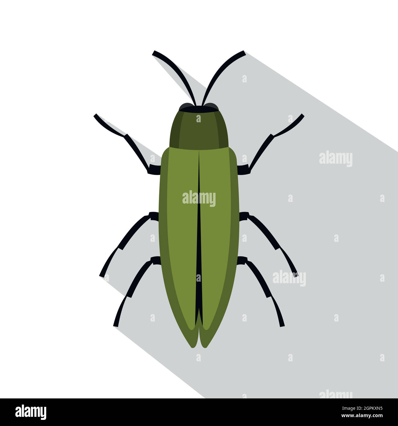 Green beetle icon, flat style Stock Vector Image & Art - Alamy