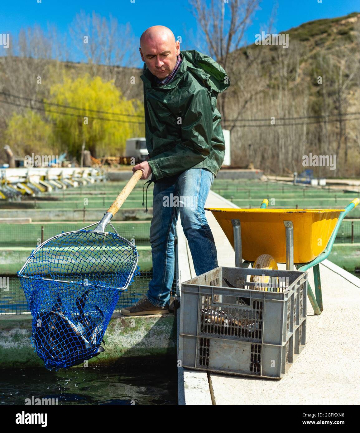 Trout landing net hi-res stock photography and images - Alamy