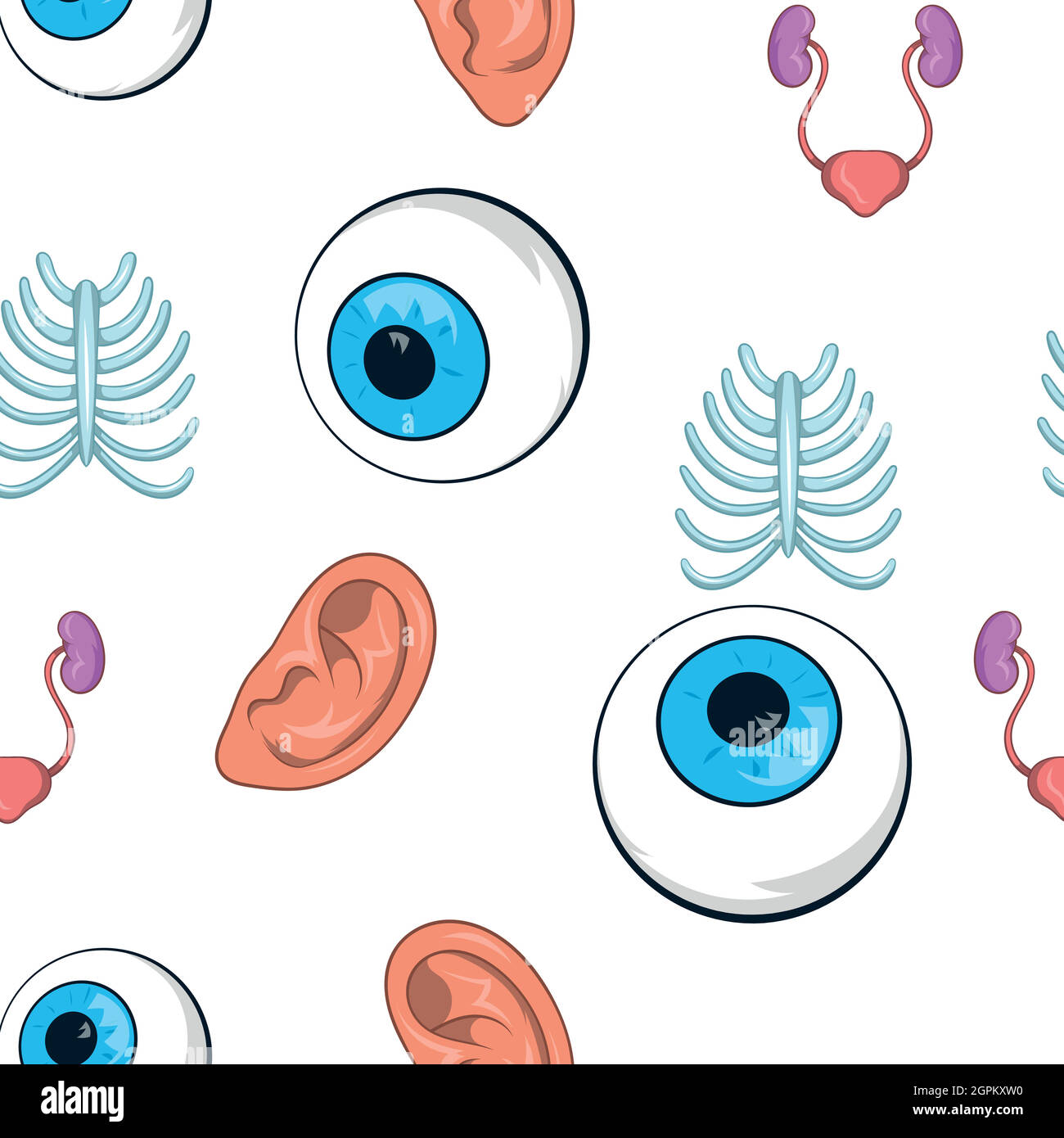 Structure of body pattern, cartoon style Stock Vector Image & Art - Alamy