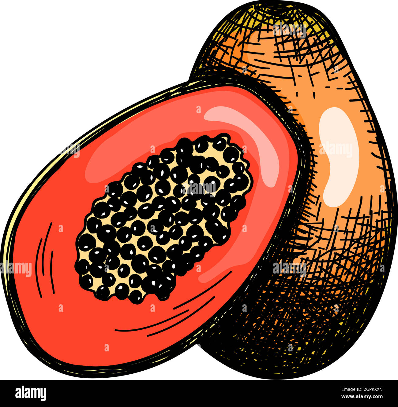 Sweet juicy tropical papaya Stock Vector Images - Alamy