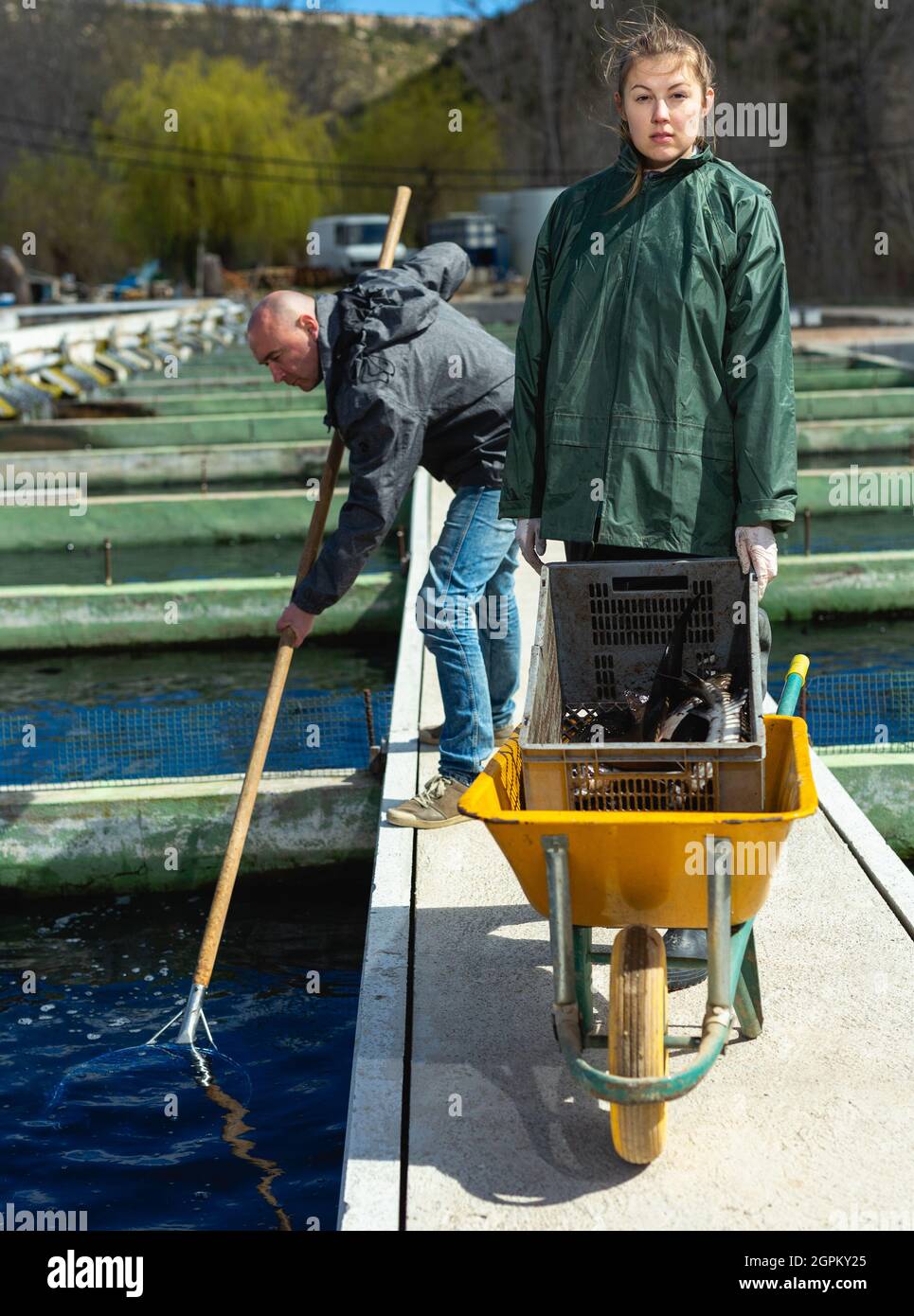 Male and female fish farm workers Stock Photo - Alamy