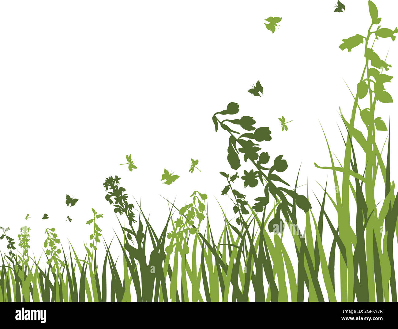 Green Grass Meadow Stock Vector Image & Art - Alamy