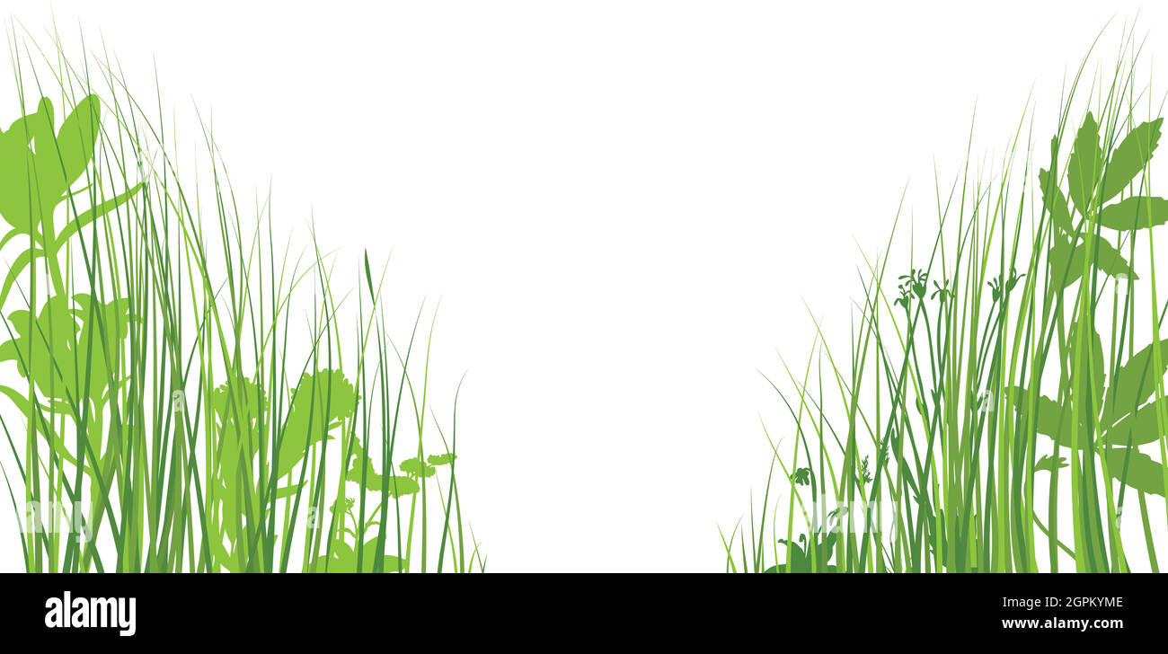 Green Grass Meadow Stock Vector Image & Art - Alamy