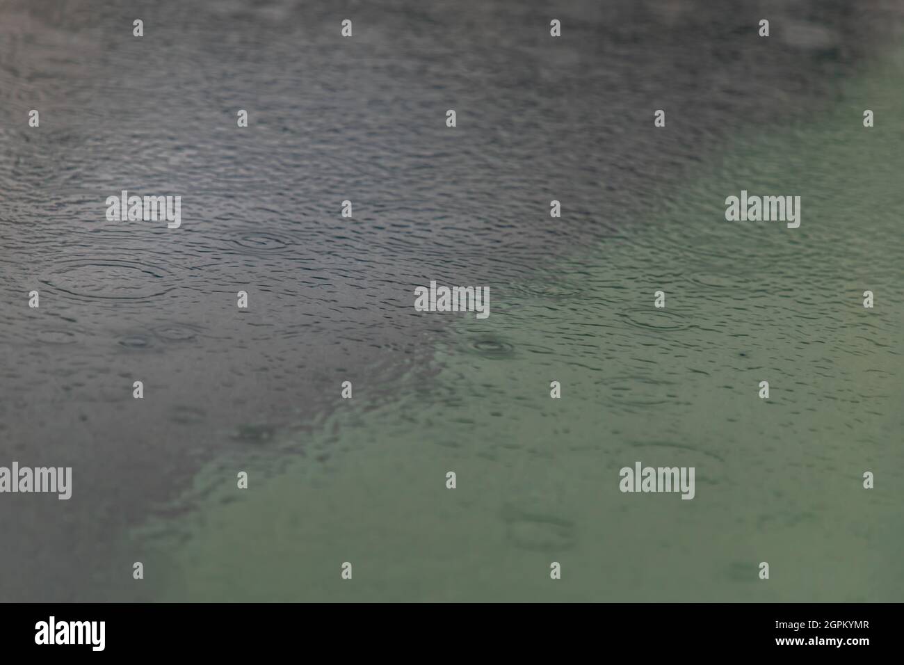 Rain drops falling in the swimming pool. Water surface for background ...