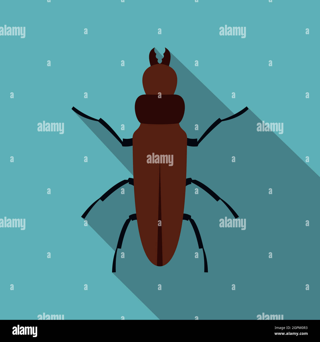 Cockroach plant hi-res stock photography and images - Alamy