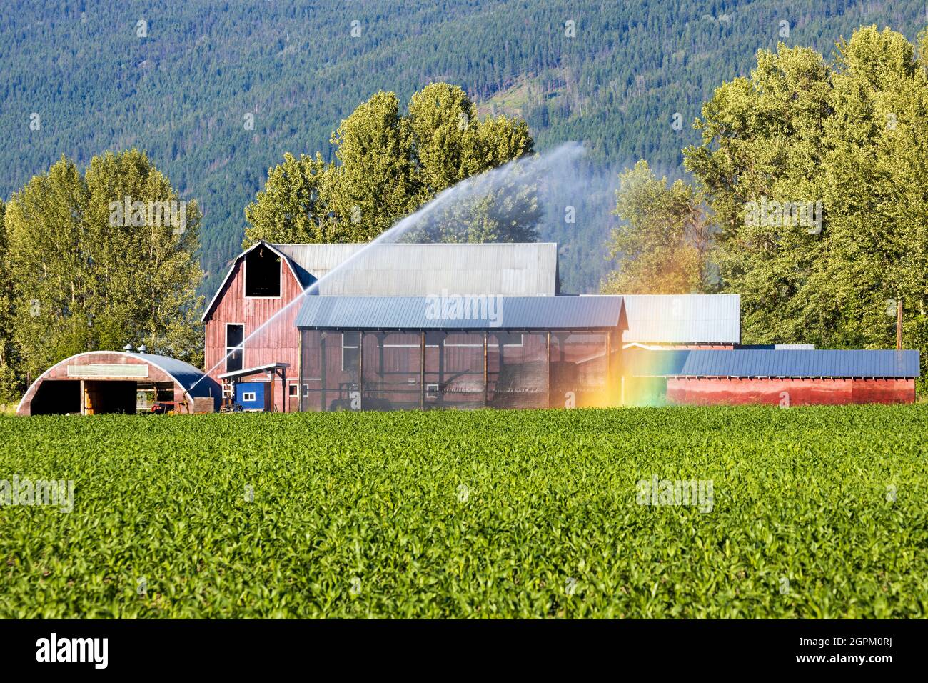 Crop sprinkler system hi-res stock photography and images - Alamy