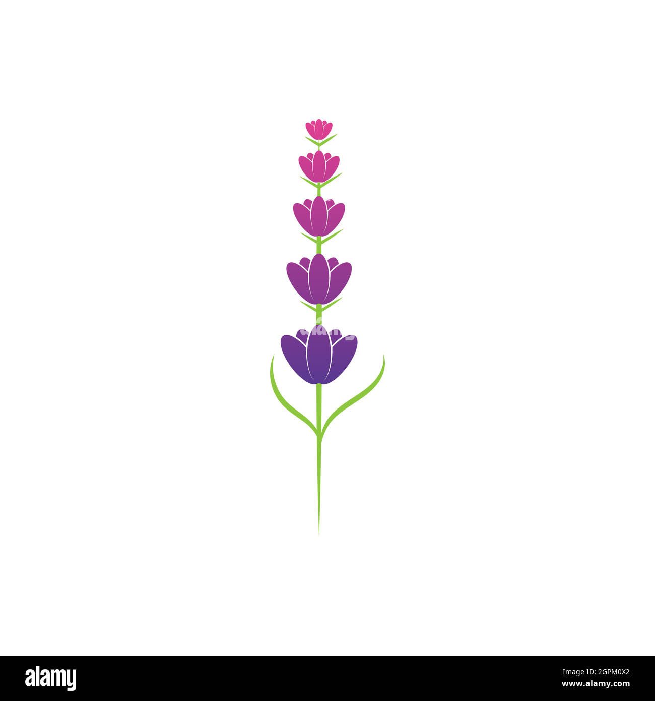 Lavender flower logo symbol template Stock Vector Image & Art - Alamy