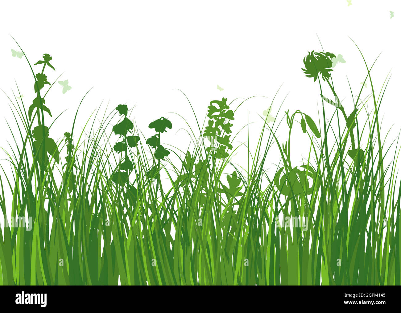 Green Grass Meadow Stock Vector Image & Art - Alamy