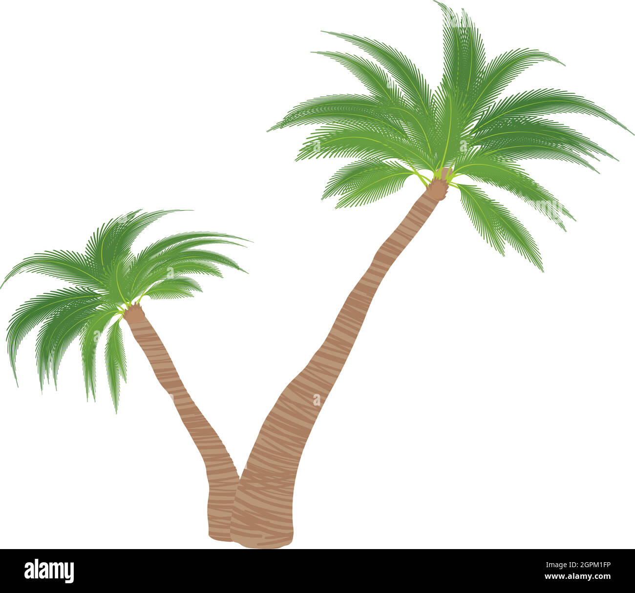 Two palm trees icon, cartoon style Stock Vector Image & Art - Alamy