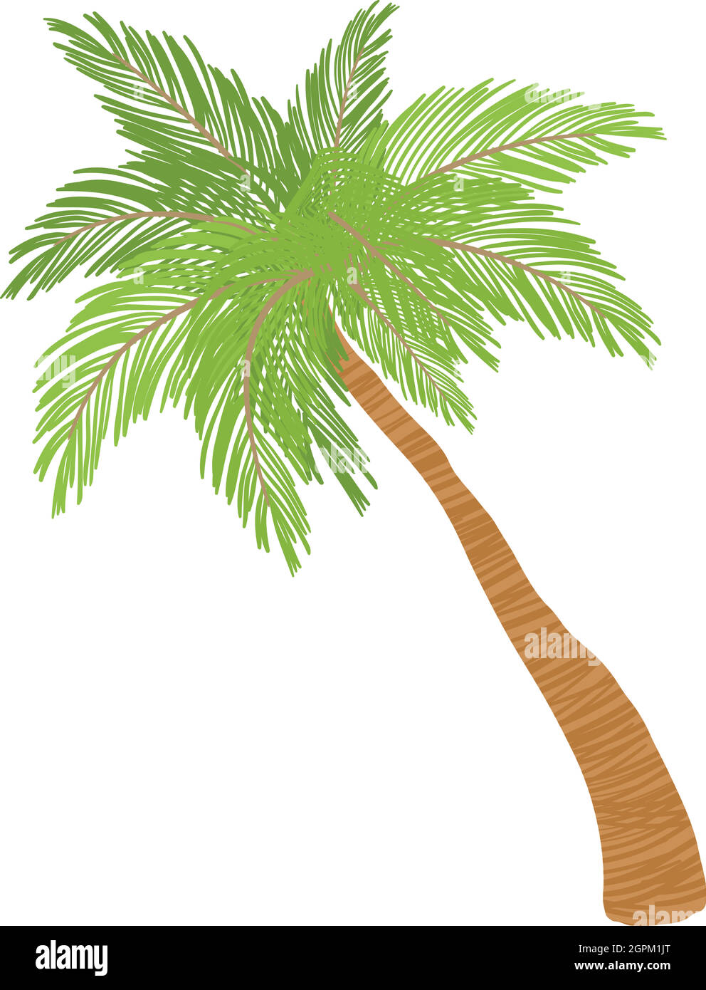 Cartoon Date Palm Tree