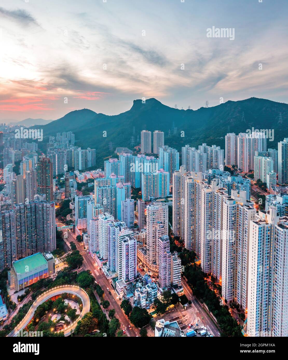 Iconic view down tree hi-res stock photography and images - Alamy