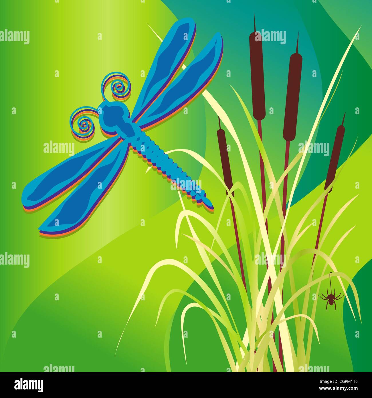 Dragonfly swamp hi-res stock photography and images - Alamy