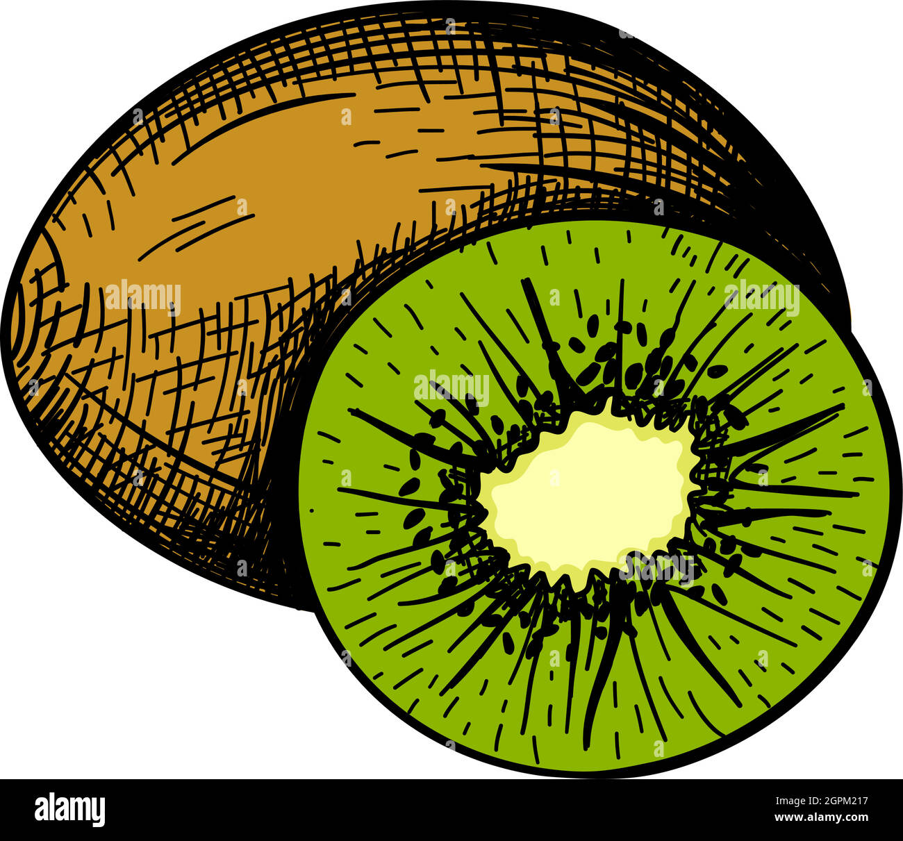 Isolated slice kiwi icon Stock Vector Images - Alamy