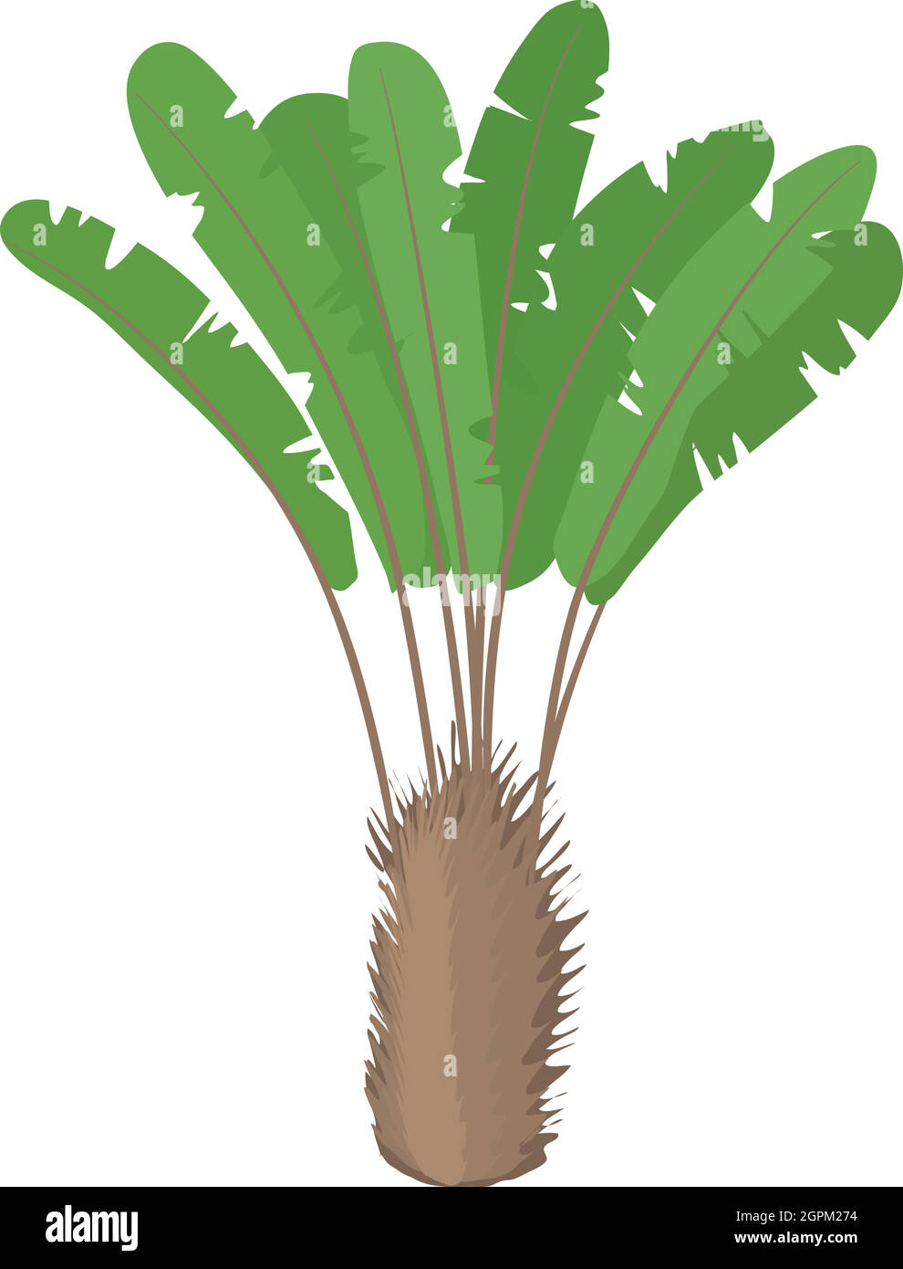 Palm tree icon, cartoon style Stock Vector Image & Art - Alamy