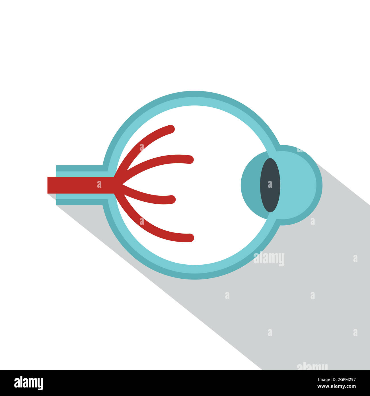 Eye anatomy hi-res stock photography and images - Alamy