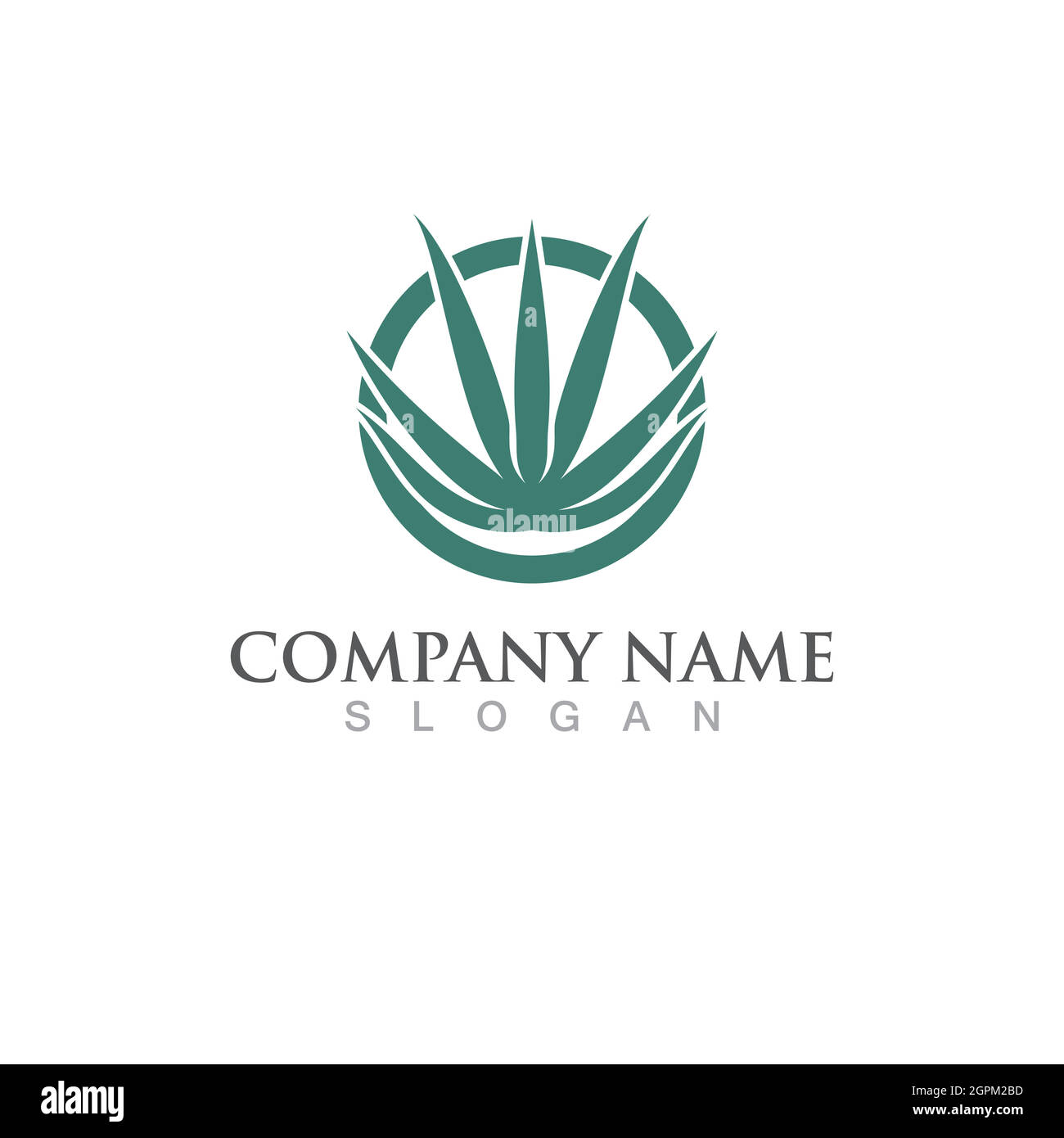 Aloe vera logo and symbol vector image Stock Vector Image & Art - Alamy