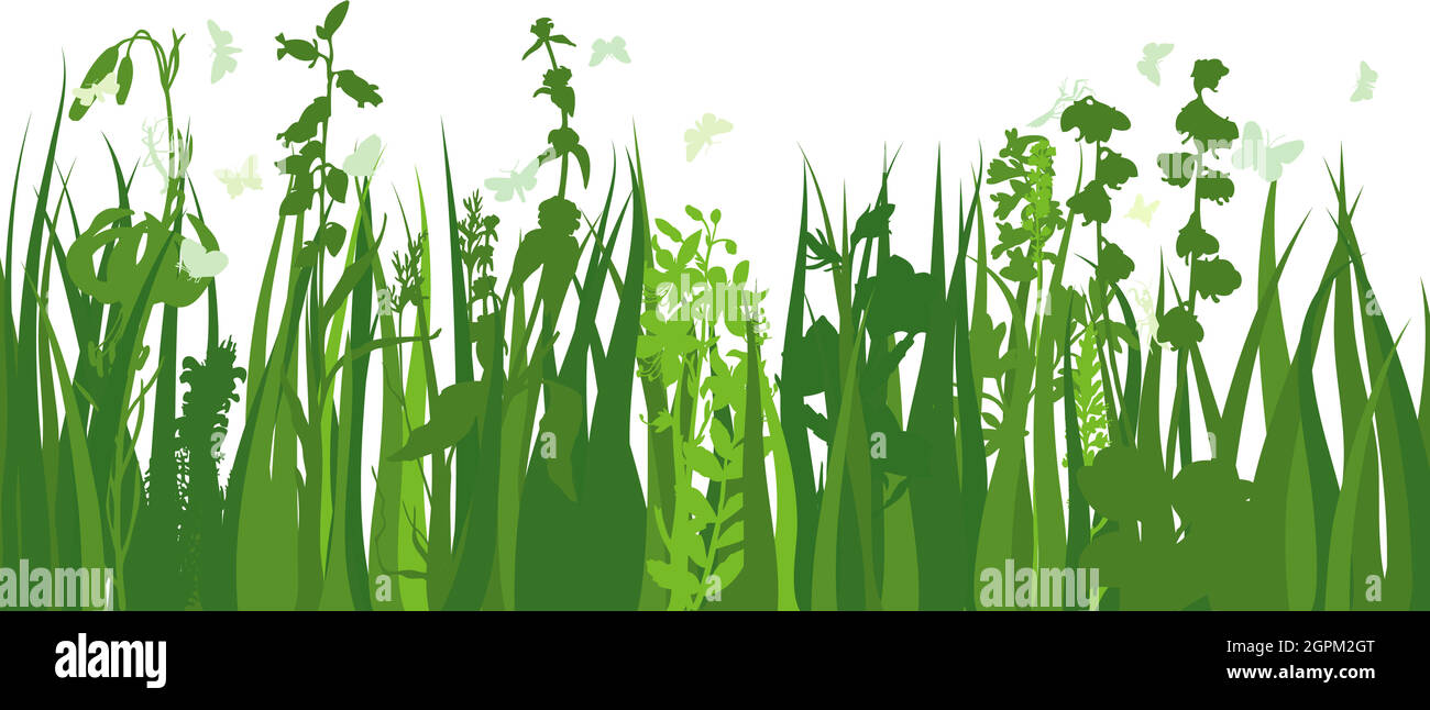 Green Grass Meadow Stock Vector Image & Art - Alamy
