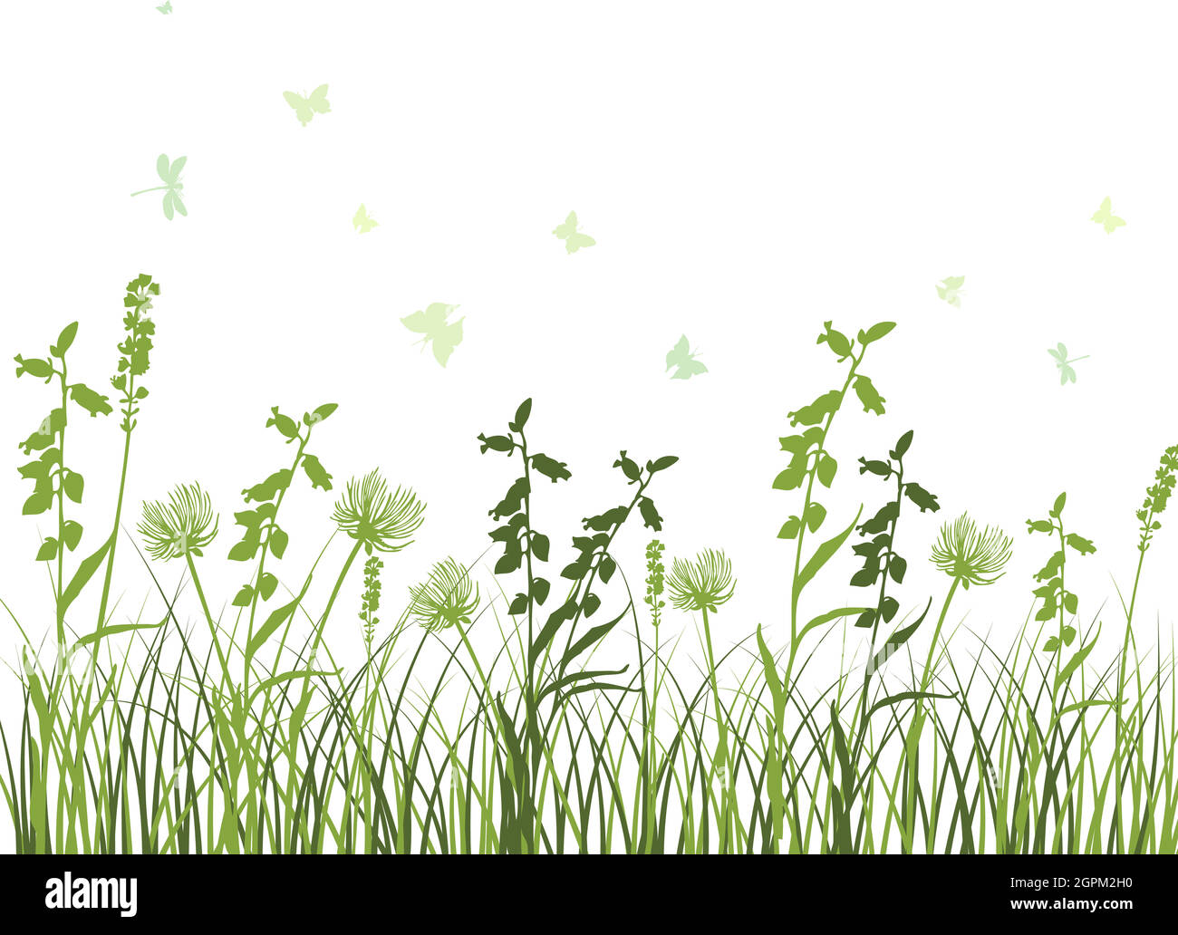 Green Grass Meadow Stock Vector Image & Art - Alamy