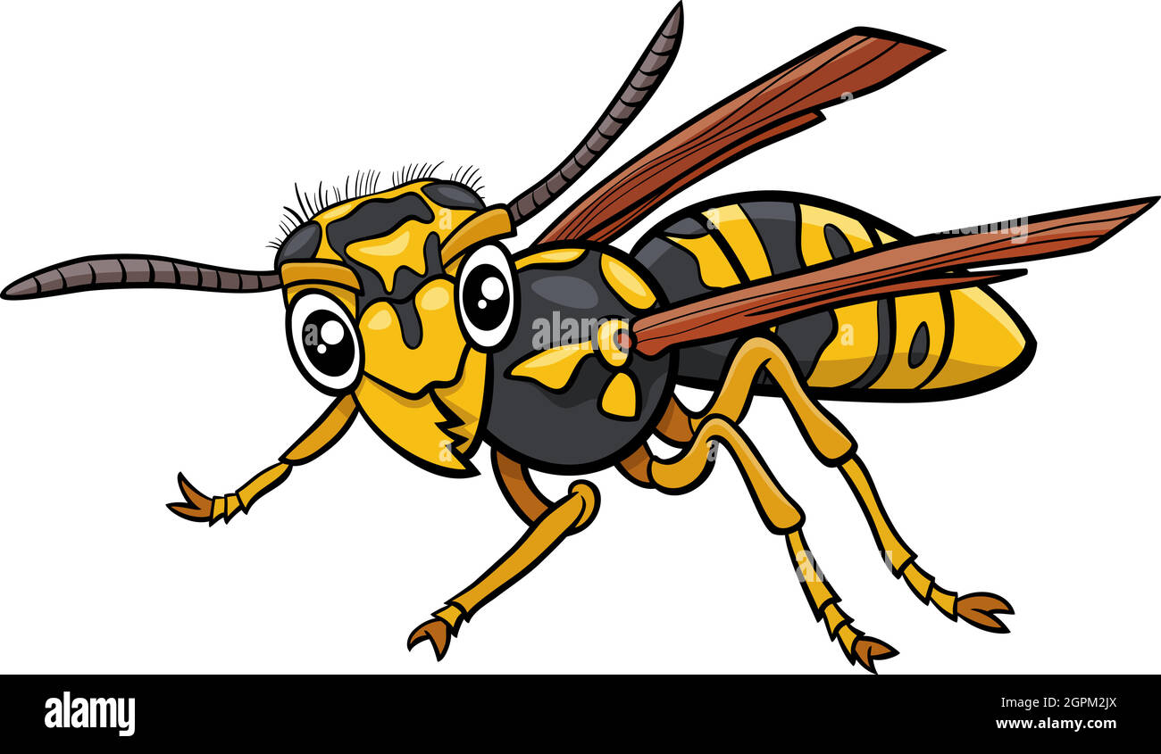 jellowjacket or wasp insect character cartoon illustration Stock Vector ...