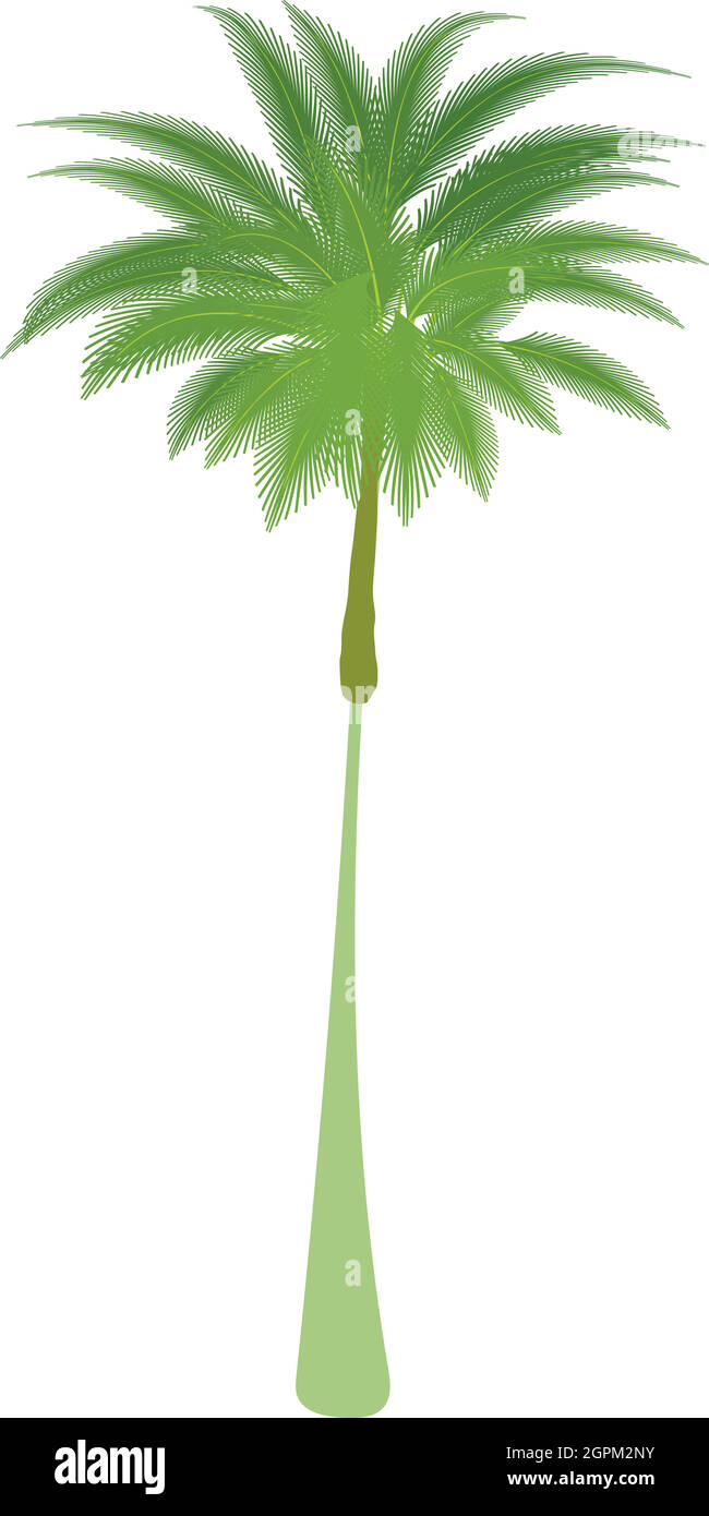 Thin palm tree icon, cartoon style Stock Vector Image & Art - Alamy