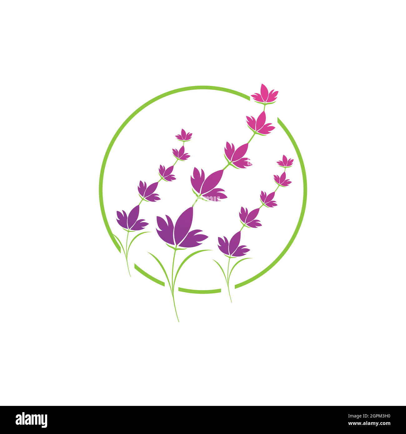 Violet flower logo Cut Out Stock Images & Pictures - Alamy