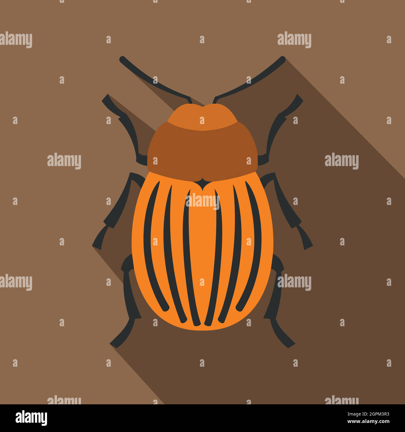 Colorado beetle icon, flat style Stock Vector Image & Art - Alamy