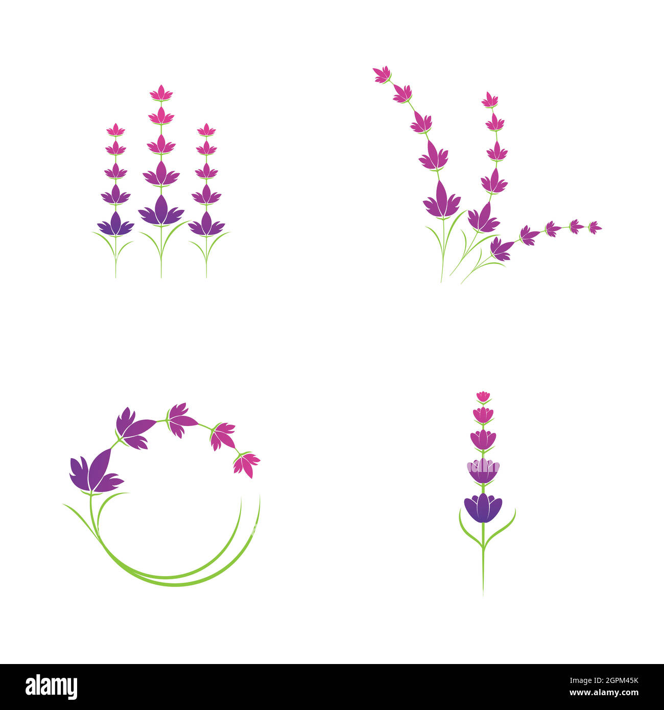 Lavender flower logo symbol template Stock Vector Image & Art - Alamy