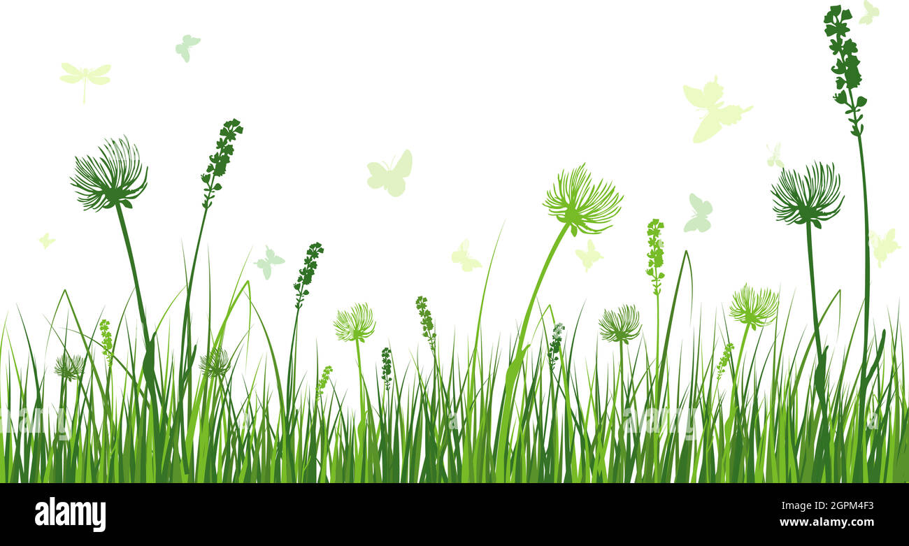 Green Grass Meadow Stock Vector Image & Art - Alamy
