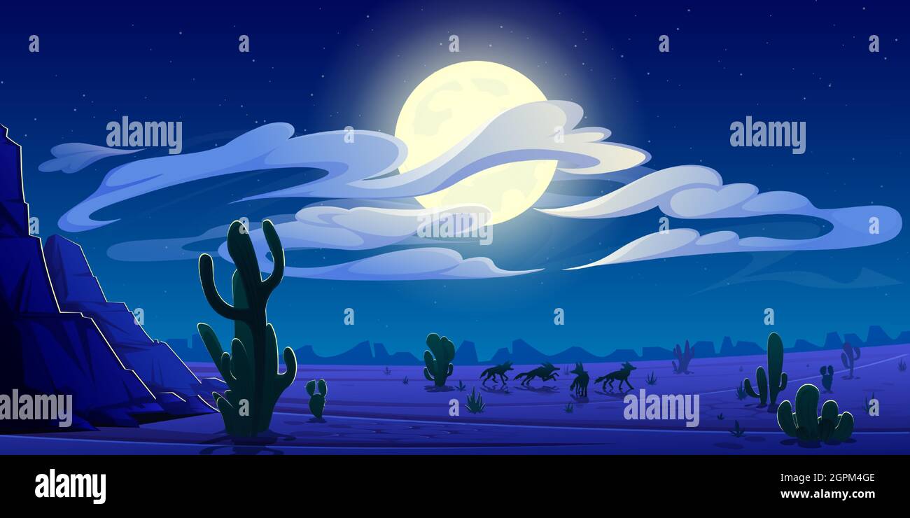 Night Desert Background