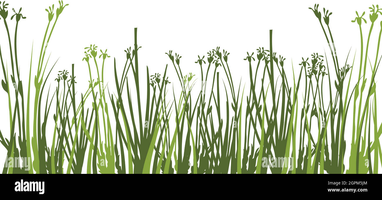 Green Grass Meadow Stock Vector Image & Art - Alamy