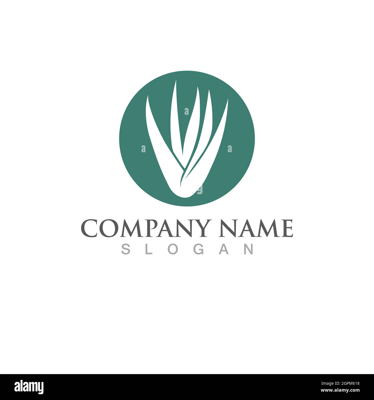 Aloe vera logo and symbol vector image Stock Vector Image & Art - Alamy