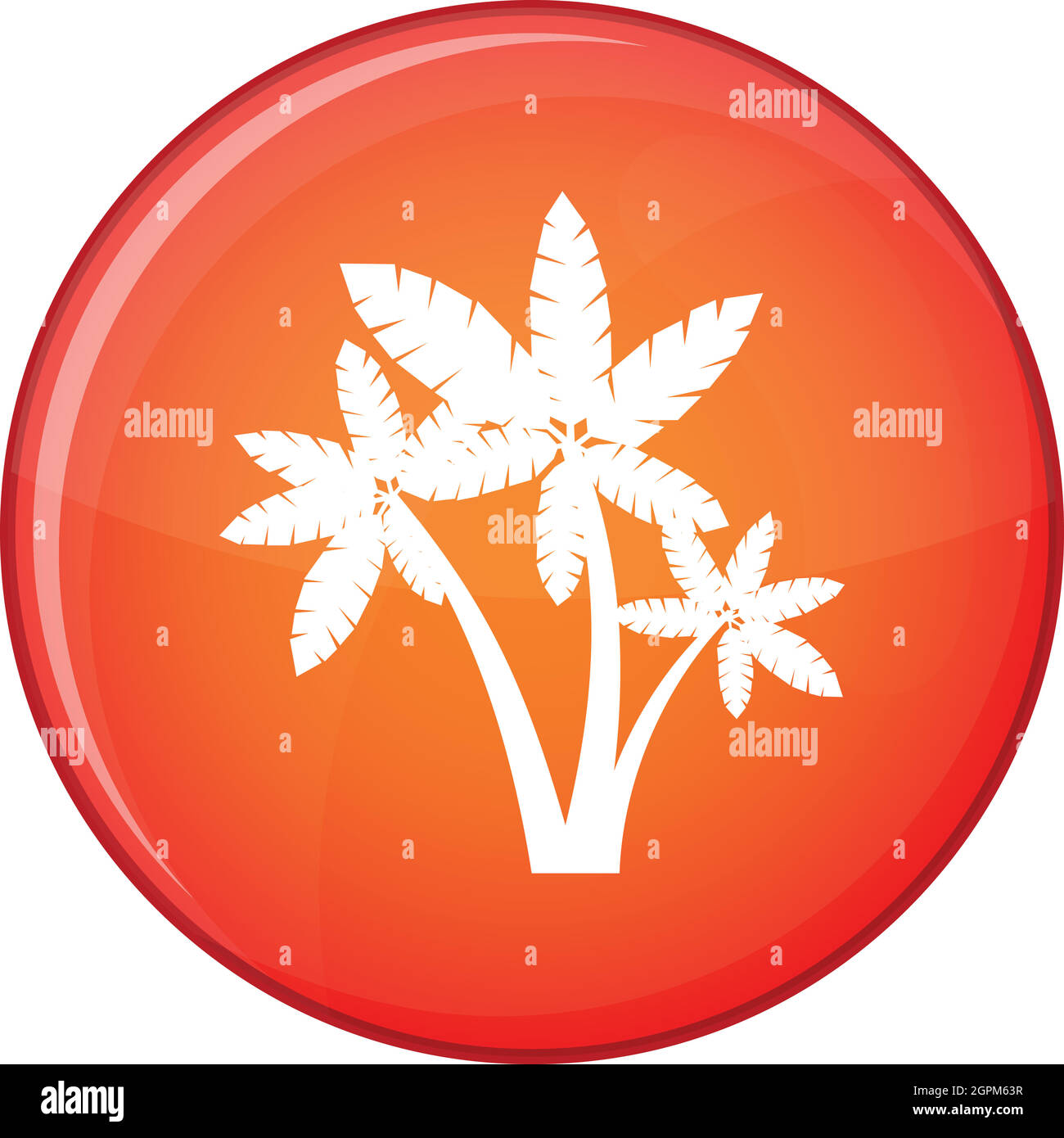 Exotic palm trees florida Stock Vector Images - Alamy