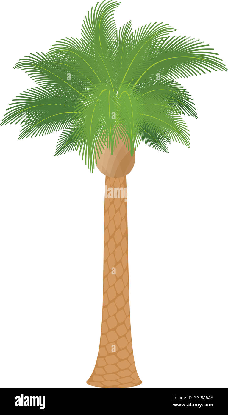 Hardwood palm icon, cartoon style Stock Vector Image & Art - Alamy