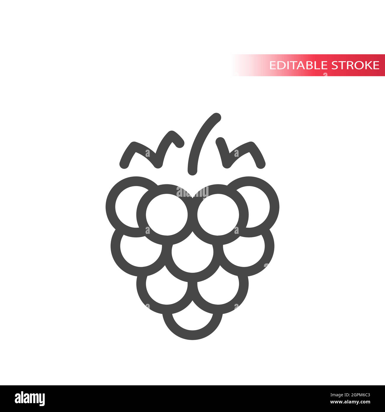 Vitamin icon linear logo Cut Out Stock Images & Pictures - Alamy