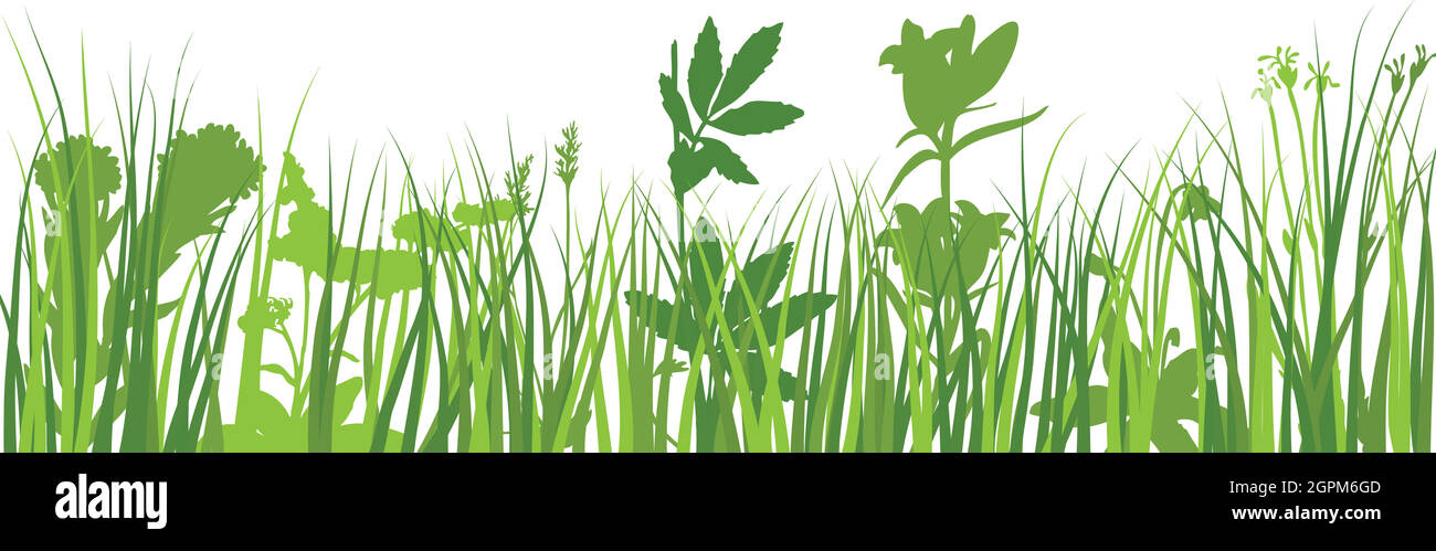 Green Grass Meadow Stock Vector Image & Art - Alamy