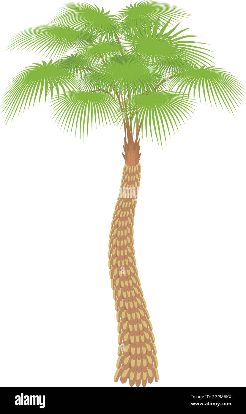 Big palm tree icon, cartoon style Stock Vector Image & Art - Alamy