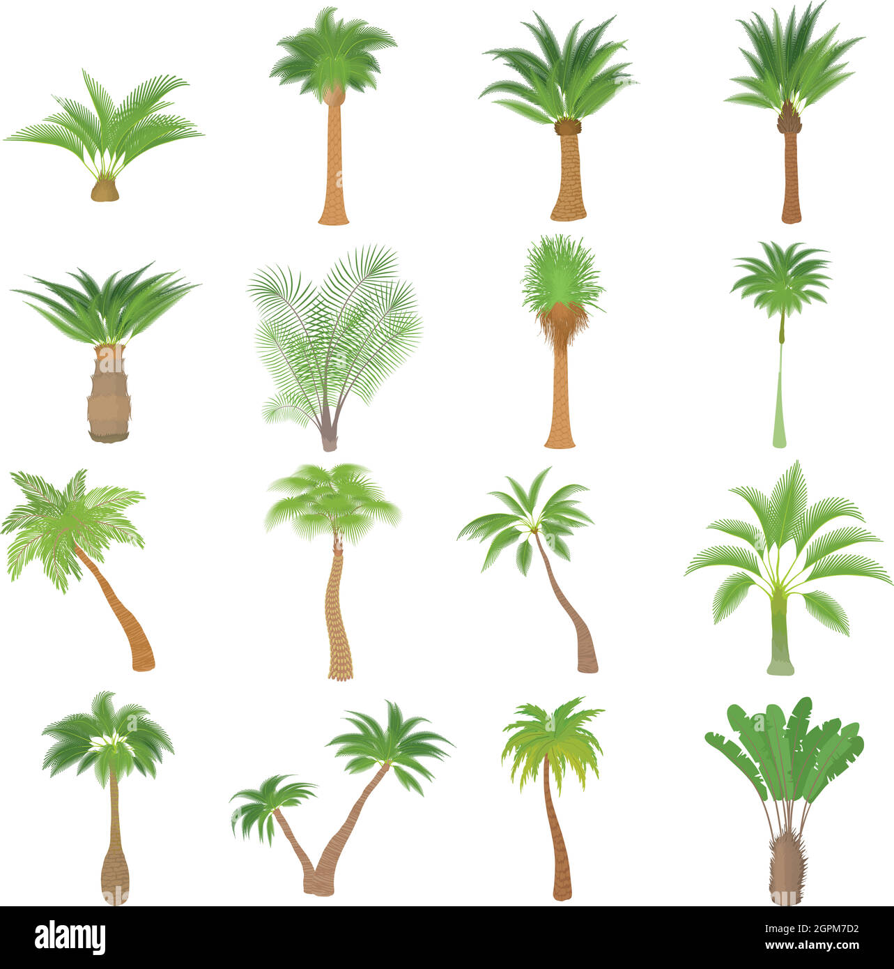 Different palm trees icons set, cartoon style Stock Vector Image & Art ...