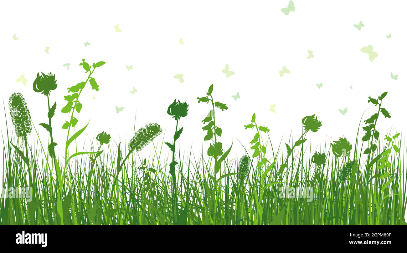 Green Grass Meadow Stock Vector Image & Art - Alamy