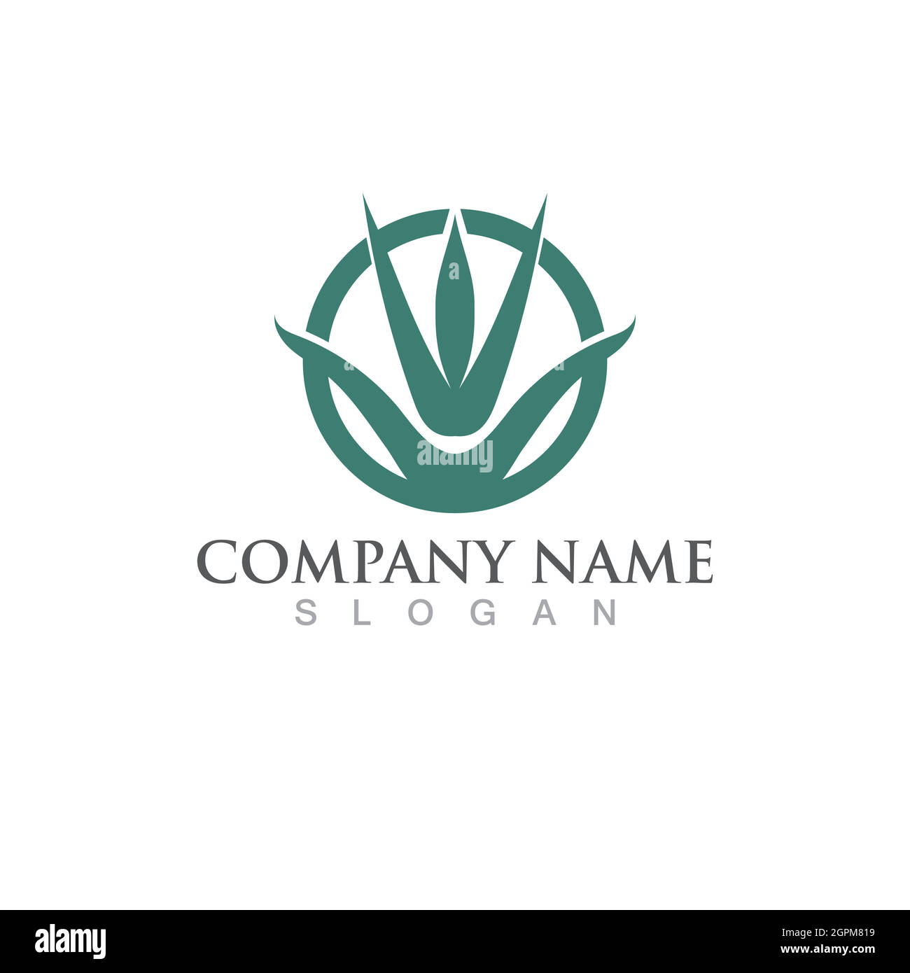 Aloe vera logo and symbol vector image Stock Vector Image & Art - Alamy