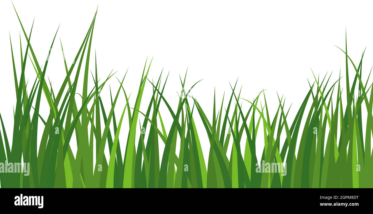 Green Grass Meadow Stock Vector Image & Art - Alamy