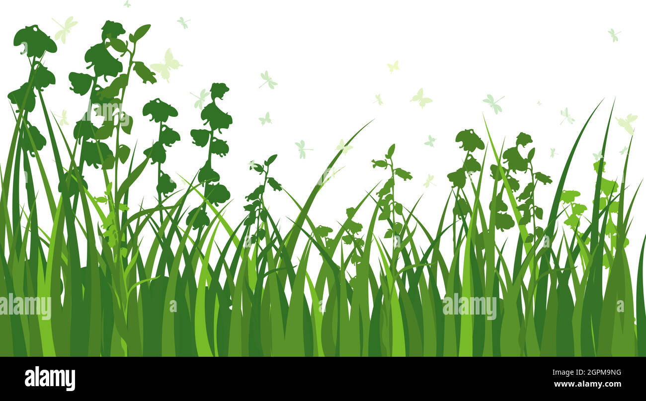 Green Grass Meadow Stock Vector Image & Art - Alamy