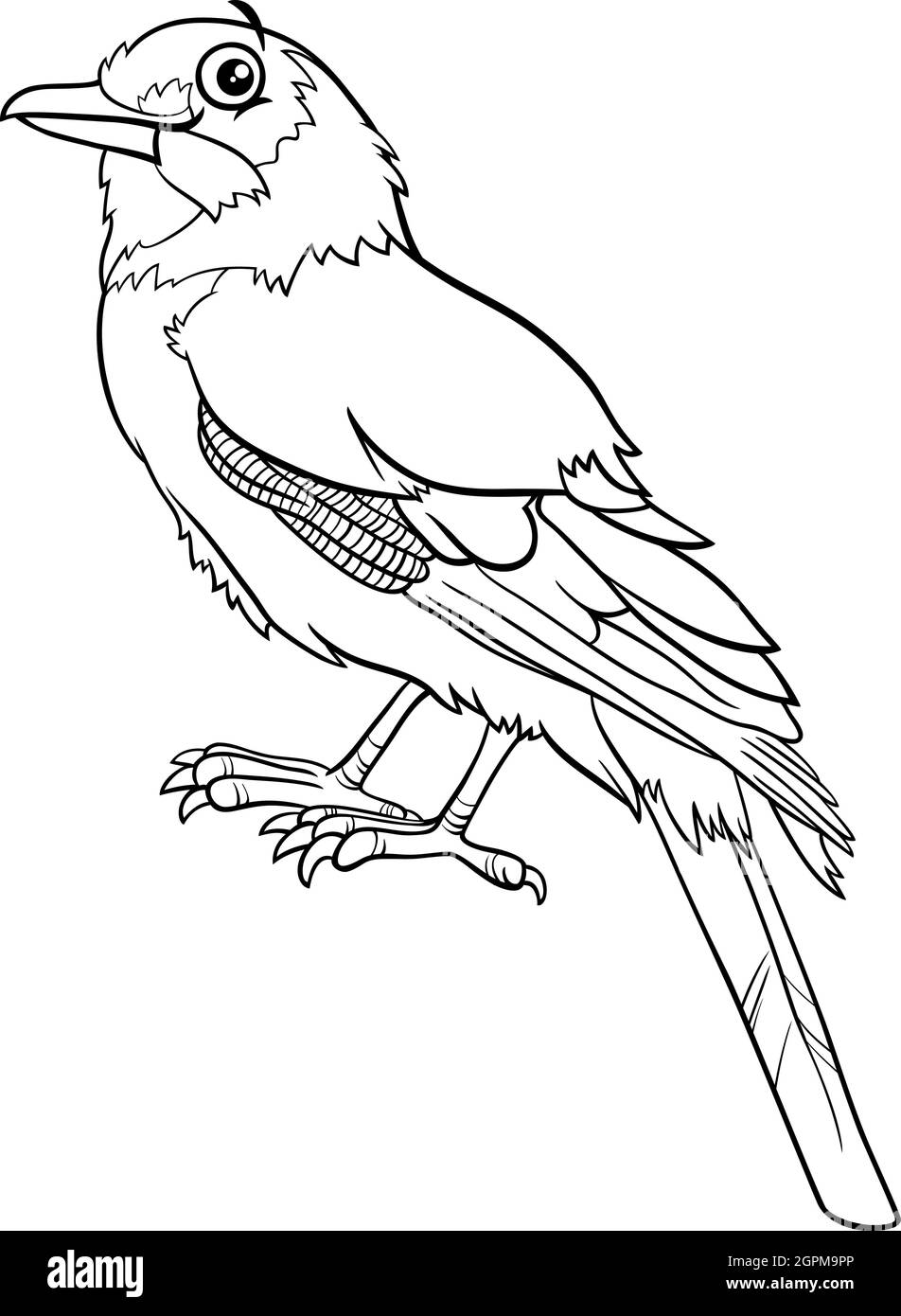 cartoon jay bird comic animal character coloring book page Stock Vector ...