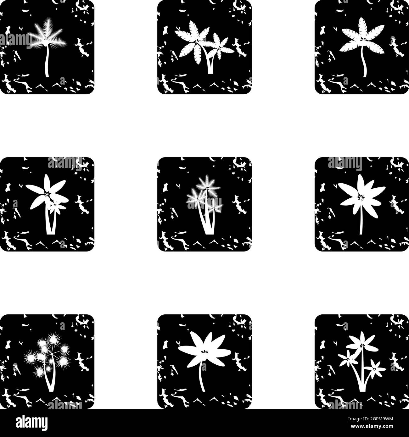 Tree palm icons set Black and White Stock Photos & Images - Alamy