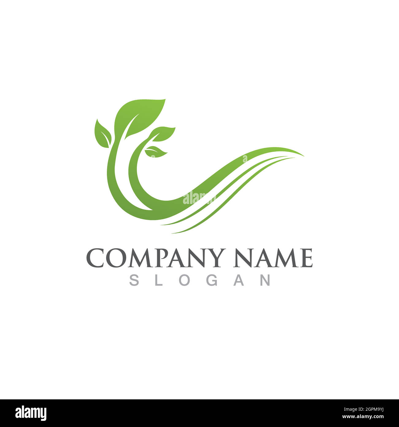 Tree leaf ecology nature hi-res stock photography and images - Alamy