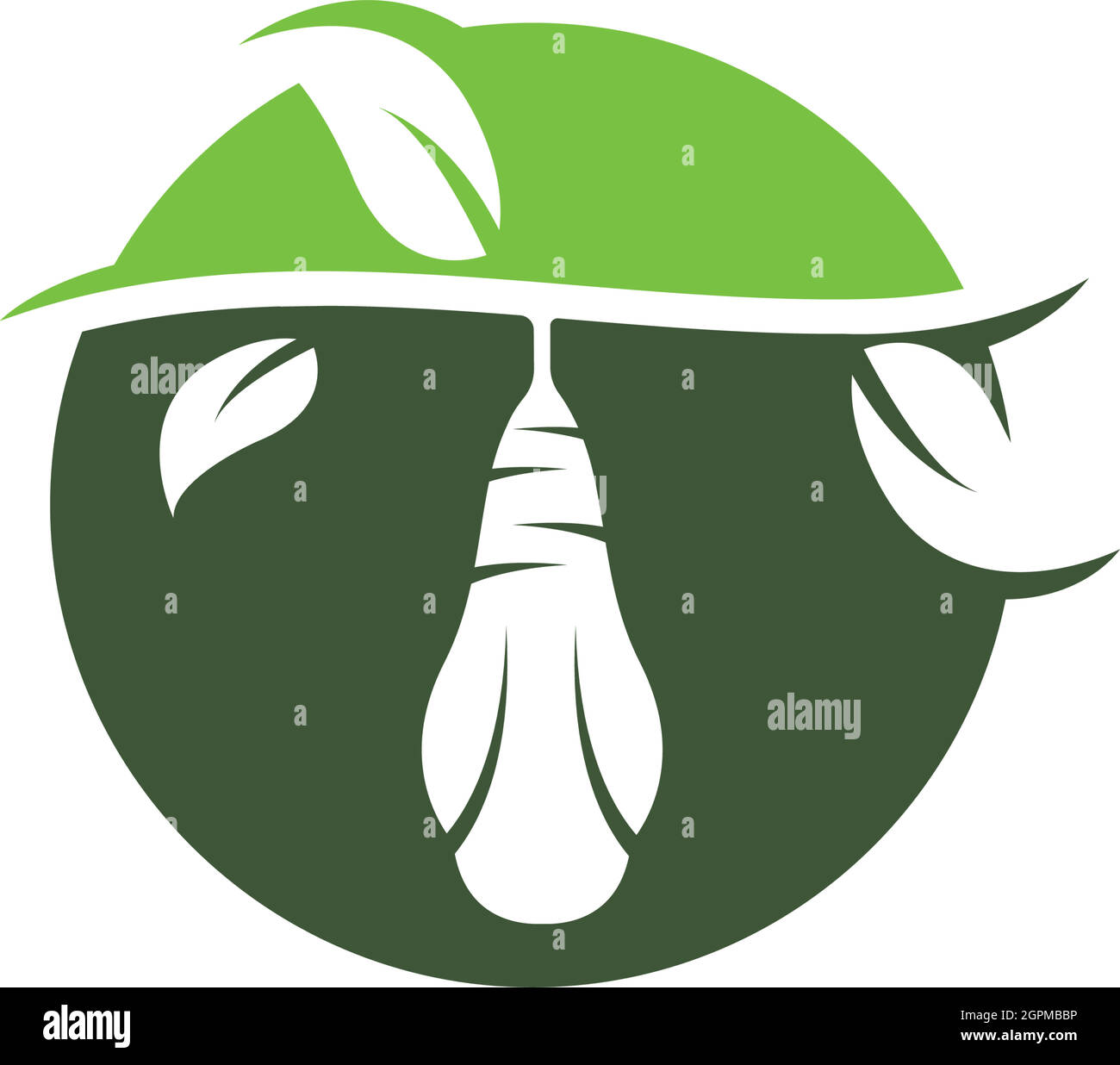cocoon vector illustrtion design Stock Vector Image & Art - Alamy