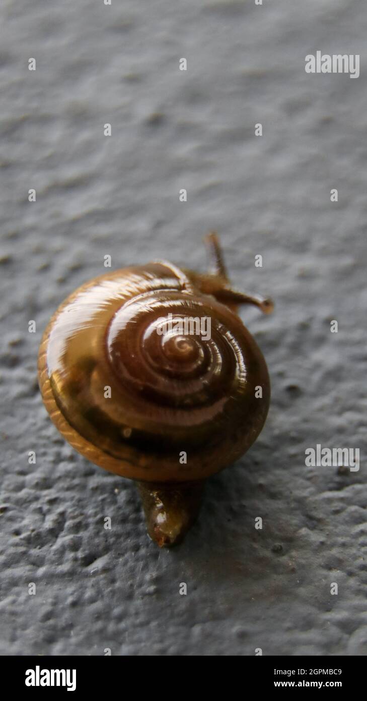 Spiral shaped slide hi-res stock photography and images - Alamy