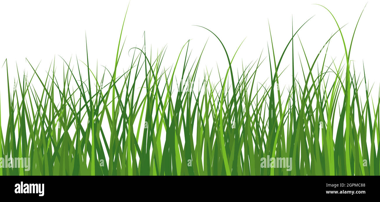 Green Grass Meadow Stock Vector Image & Art - Alamy