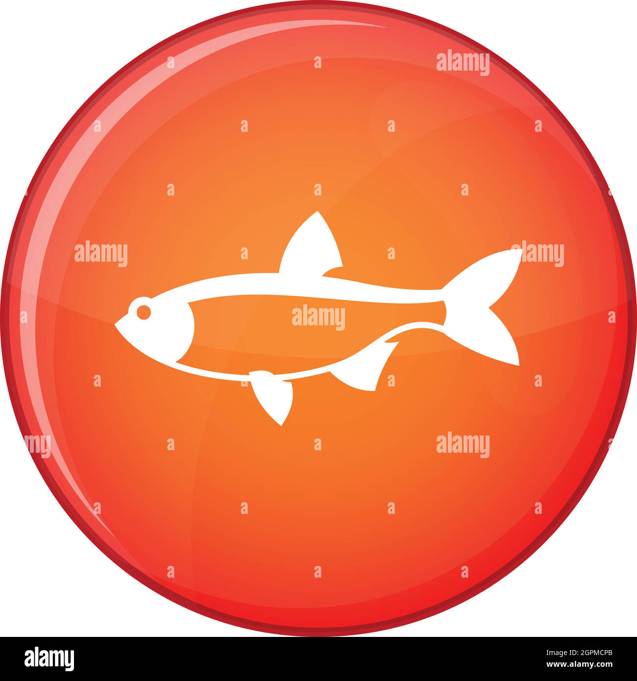 Common rudd scardinius erythropthalmus Stock Vector Images - Alamy