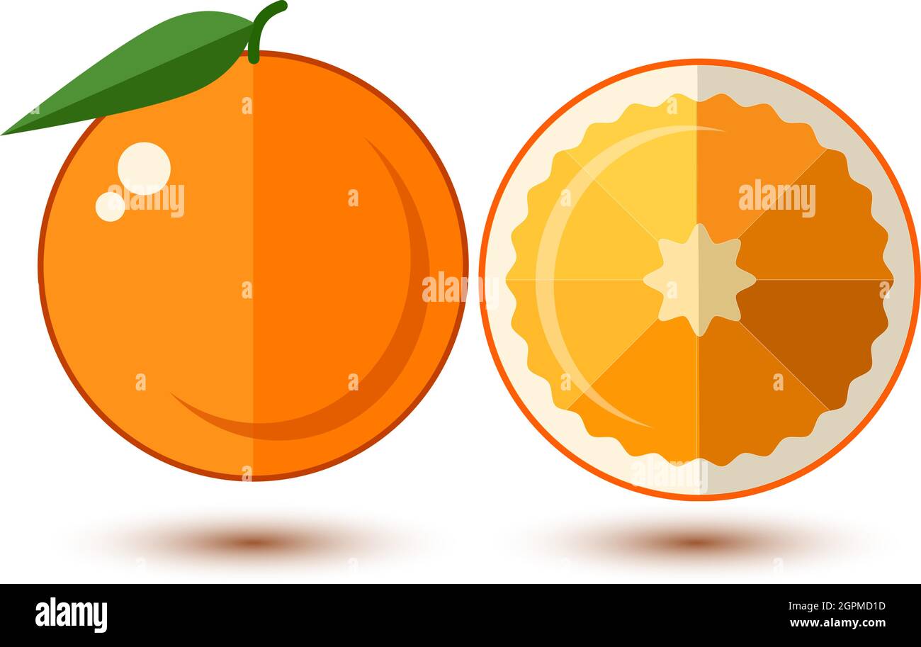 whole orange, cut orange, flat vector. Vector illustration Stock Vector ...